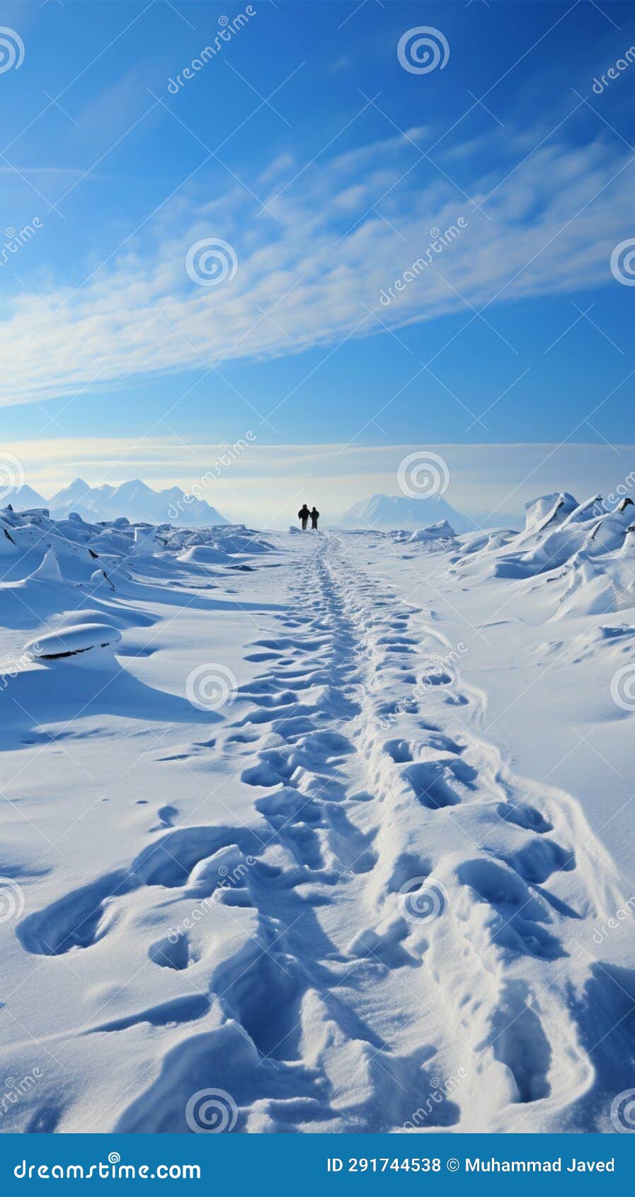 Uphill in Snow Human Footprints Document Determined Climb through ...