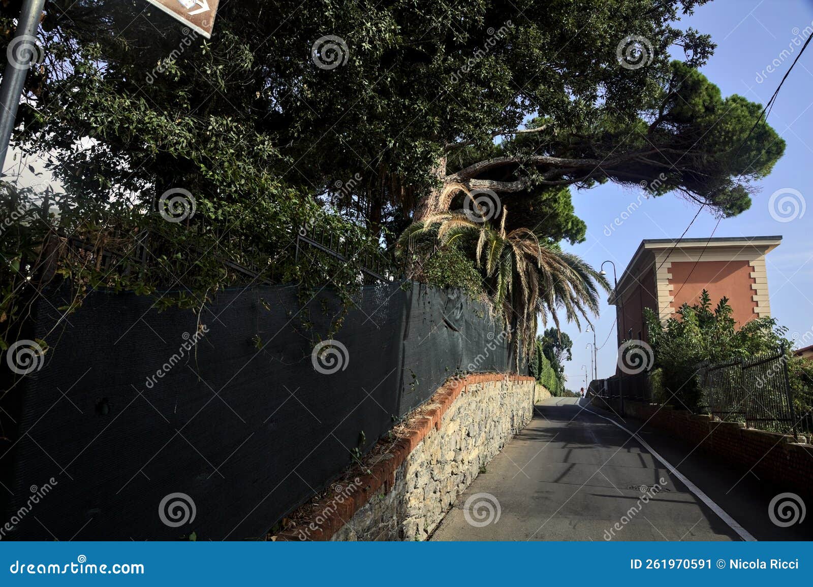 Uphill Street Bordered by Fences and a Tree Arching on it Stock Image ...