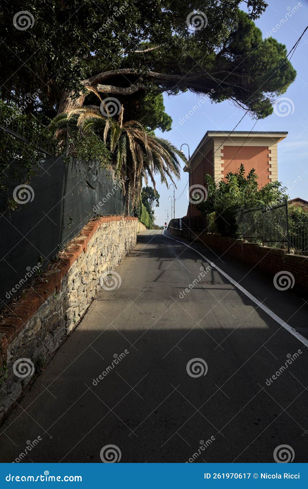 Uphill Street Bordered by Fences and a Tree Arching on it Stock Image ...