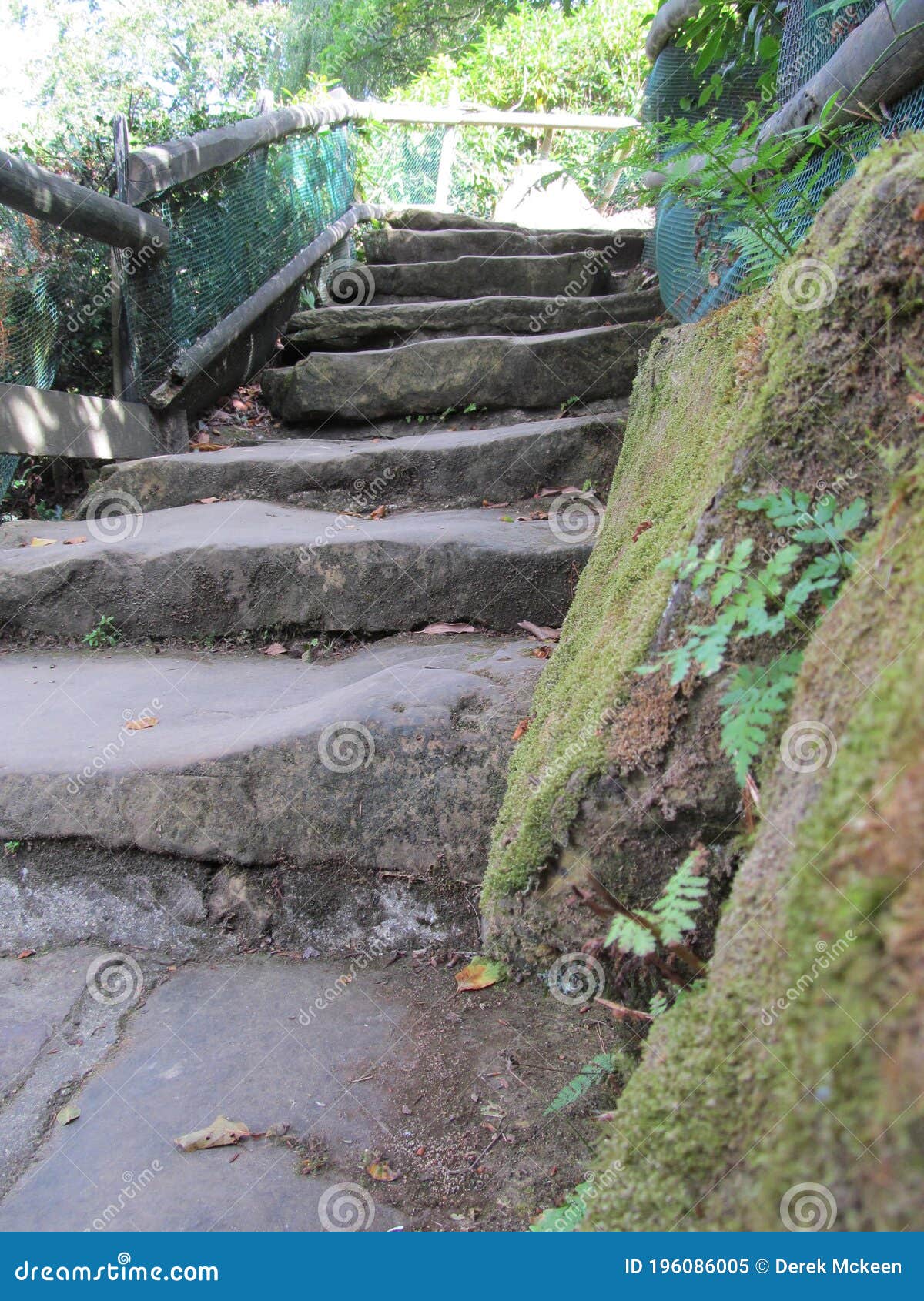 Uphill Struggle on Uneven Steps Stock Image - Image of leaves, steps ...