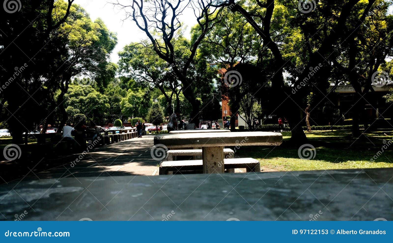 Upiicsa stock image. Image of verde, universidad, upiicsa - 97122153