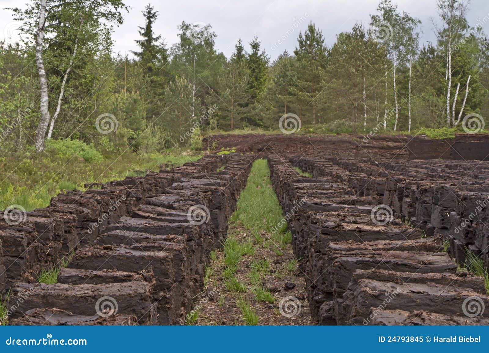 Upland Moor with Peat Digging Place Stock Image - Image of renewable ...
