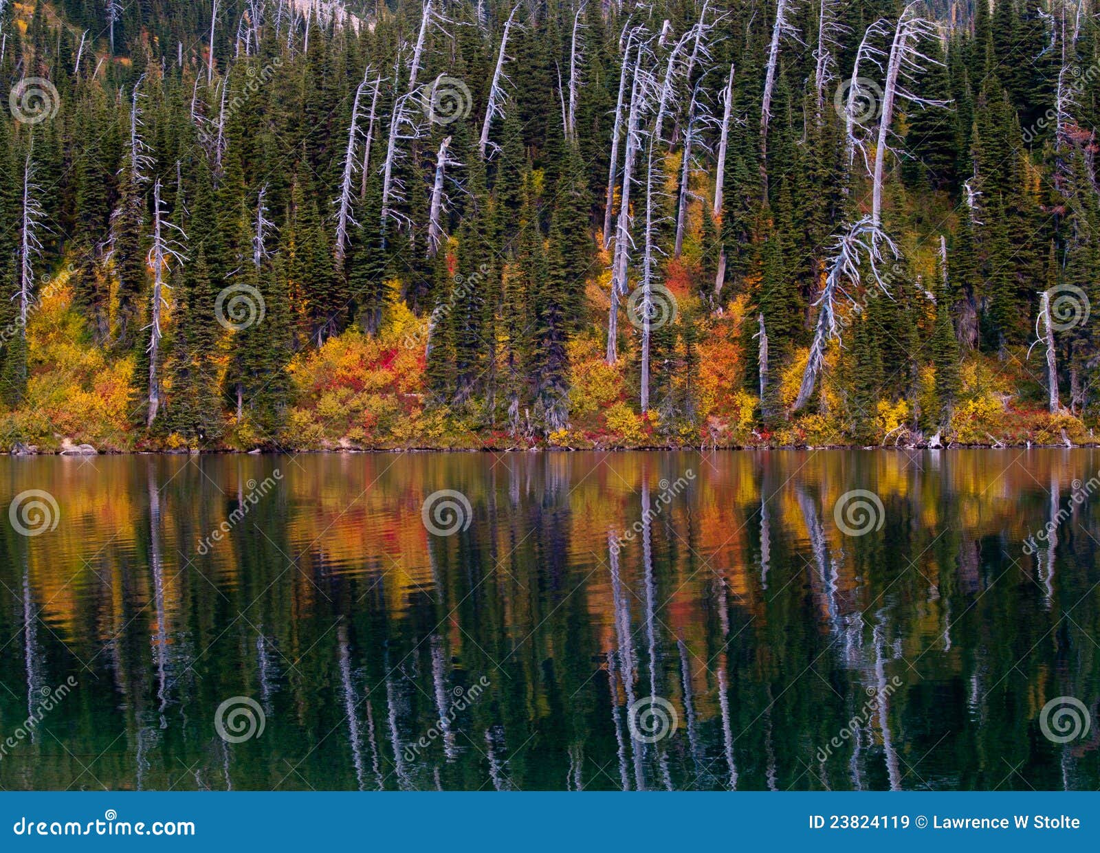 Upper Big Hawk Lake Reflection Stock Image - Image of colorful, ripples ...