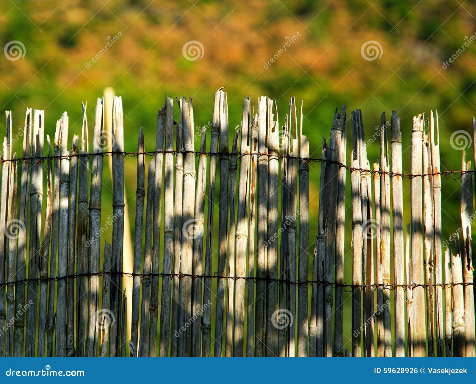 Reed Fence, Texture Stock Photography | CartoonDealer.com #40643954