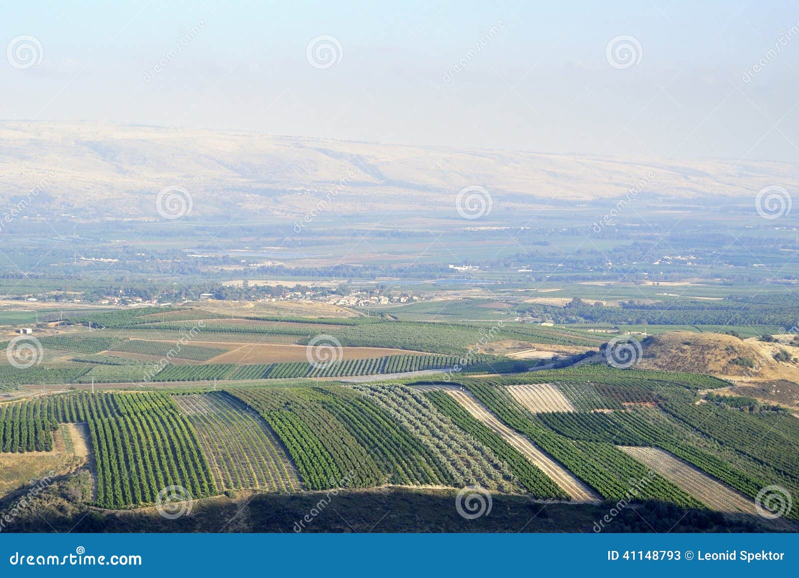 Upper Galilee Landscape, Israel Stock Image - Image of rural, trees ...