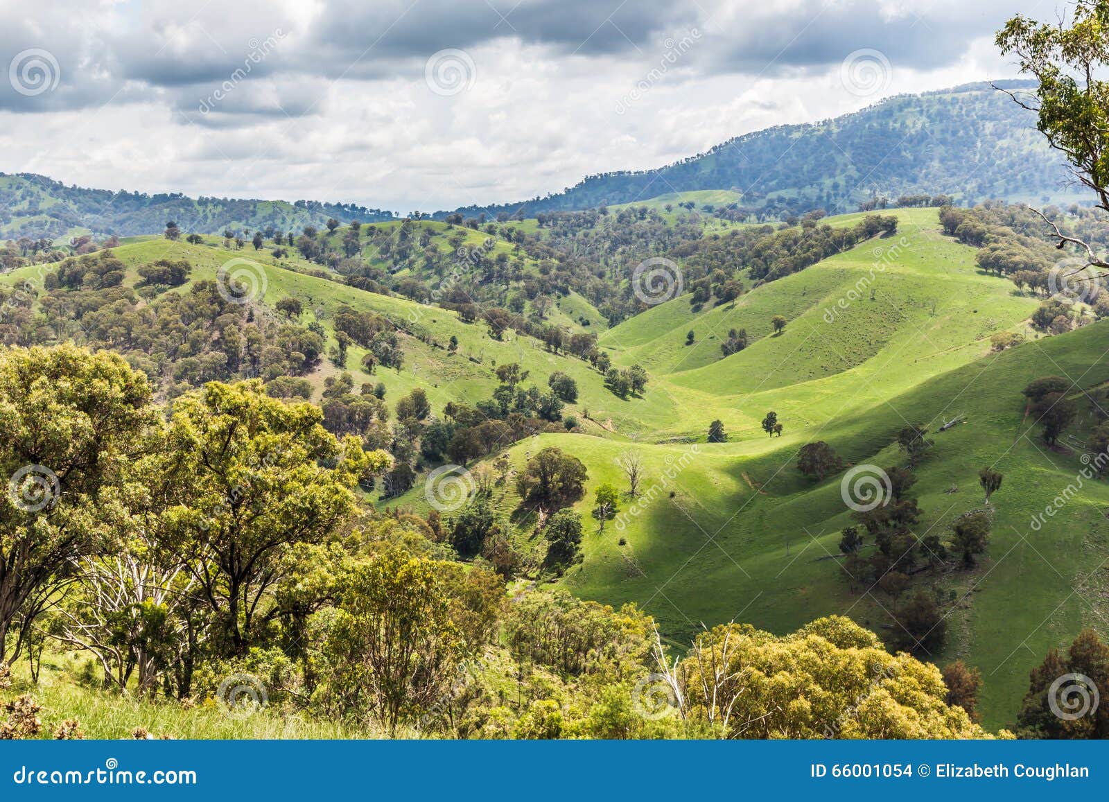 Upper Hunter Valley, NWS, Australia Stock Photo - Image of travel ...