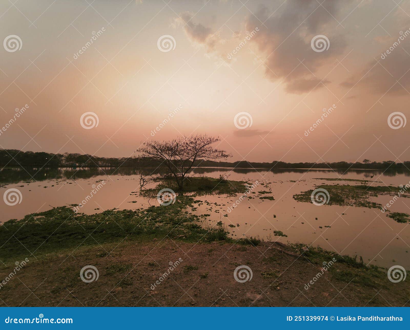 Cme Pune Stock Photos - Free & Royalty-Free Stock Photos from Dreamstime