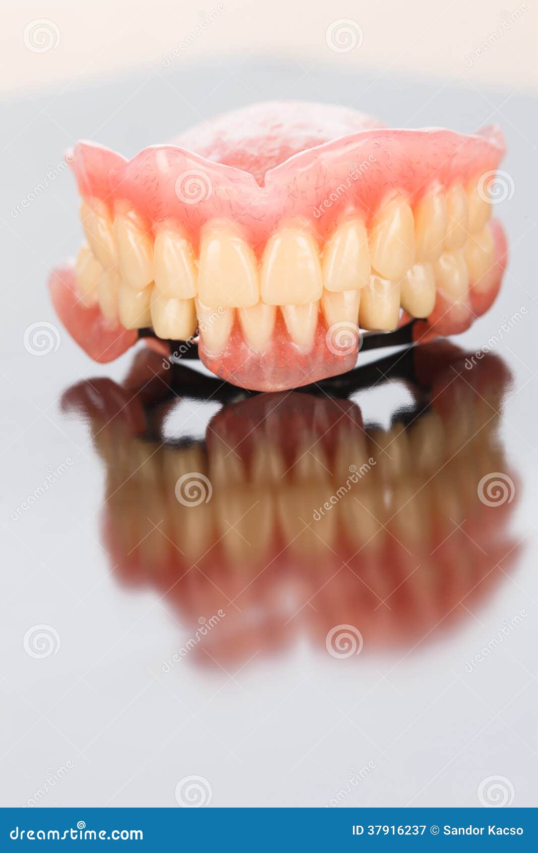 Upper and Lower Dental Prosthesis Stock Image - Image of bridges ...