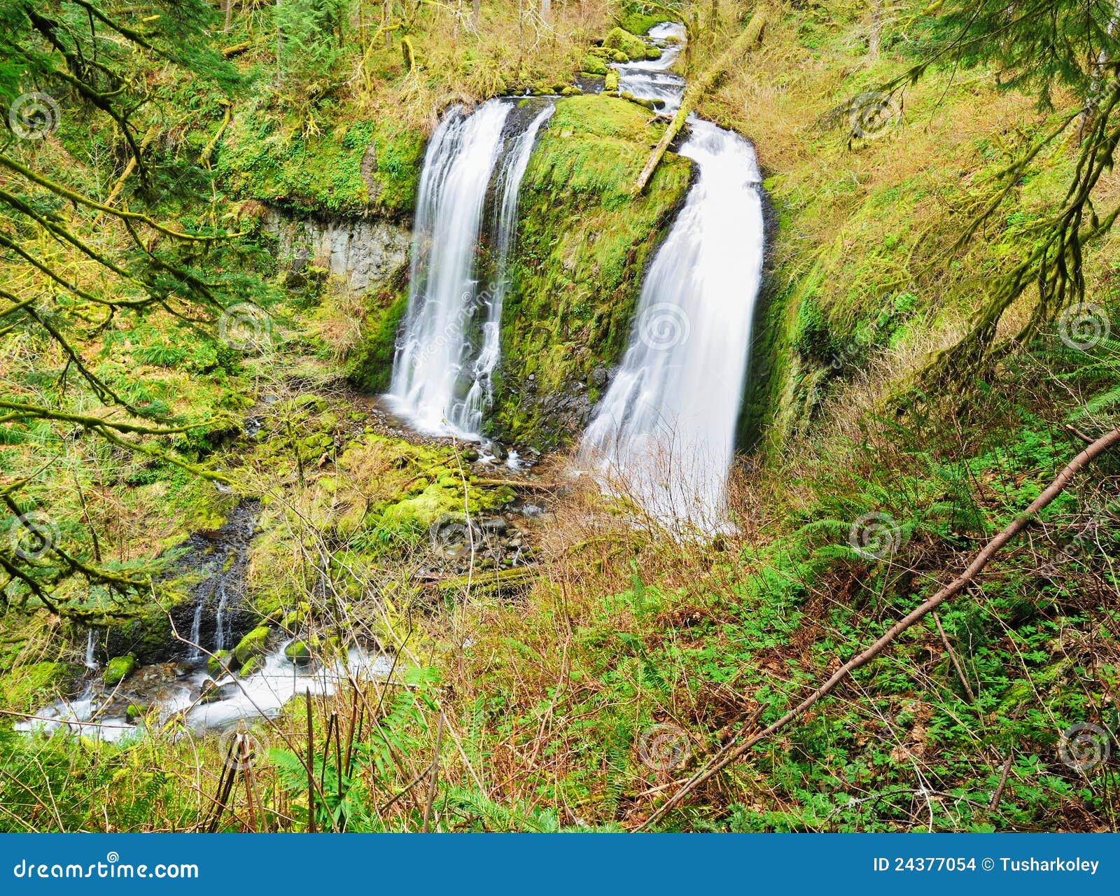 The Upper McCord Creek Falls Stock Photo - Image of cascade, flow: 24377054