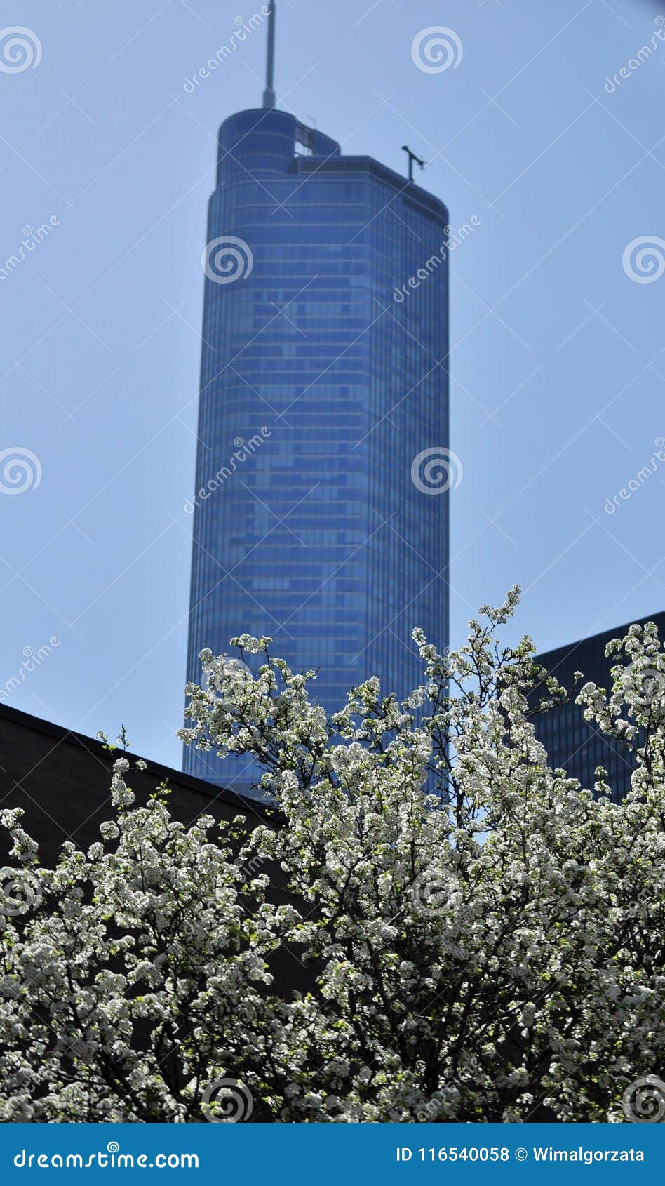 Chicago Skyscraper in Spring. Stock Photo - Image of landscape ...