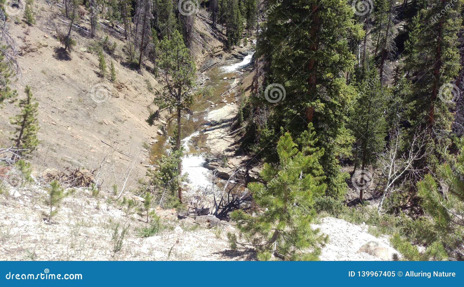 Provo River Rushing Down Slate Gorge Stock Image - Image of trees ... Provo River Rushing Down Slate Gorge Stock Image - Image of trees ...