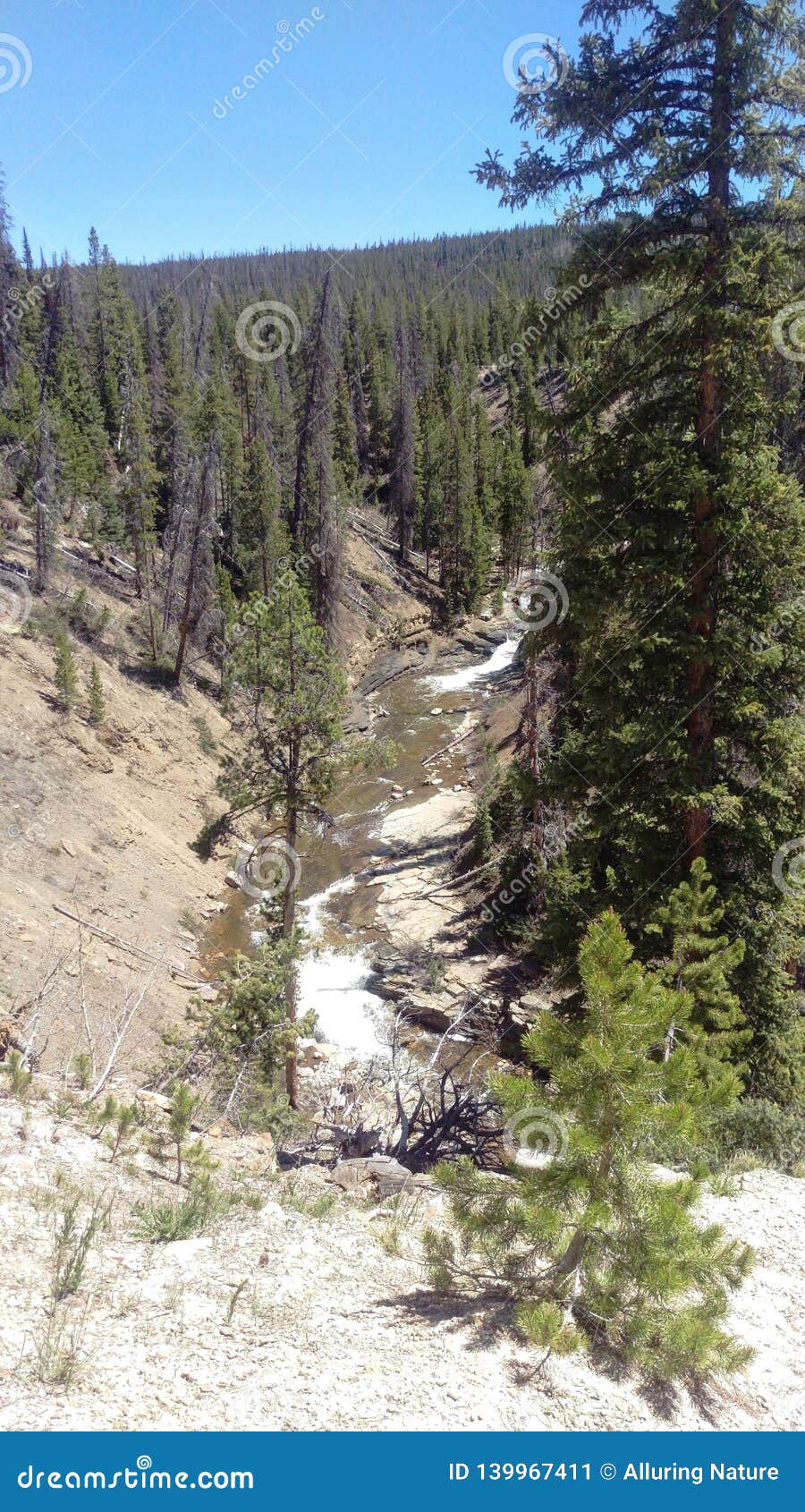 Provo River Rushing Down Slate Gorge Stock Image - Image of gorge ... Provo River Rushing Down Slate Gorge Stock Image - Image of gorge ...