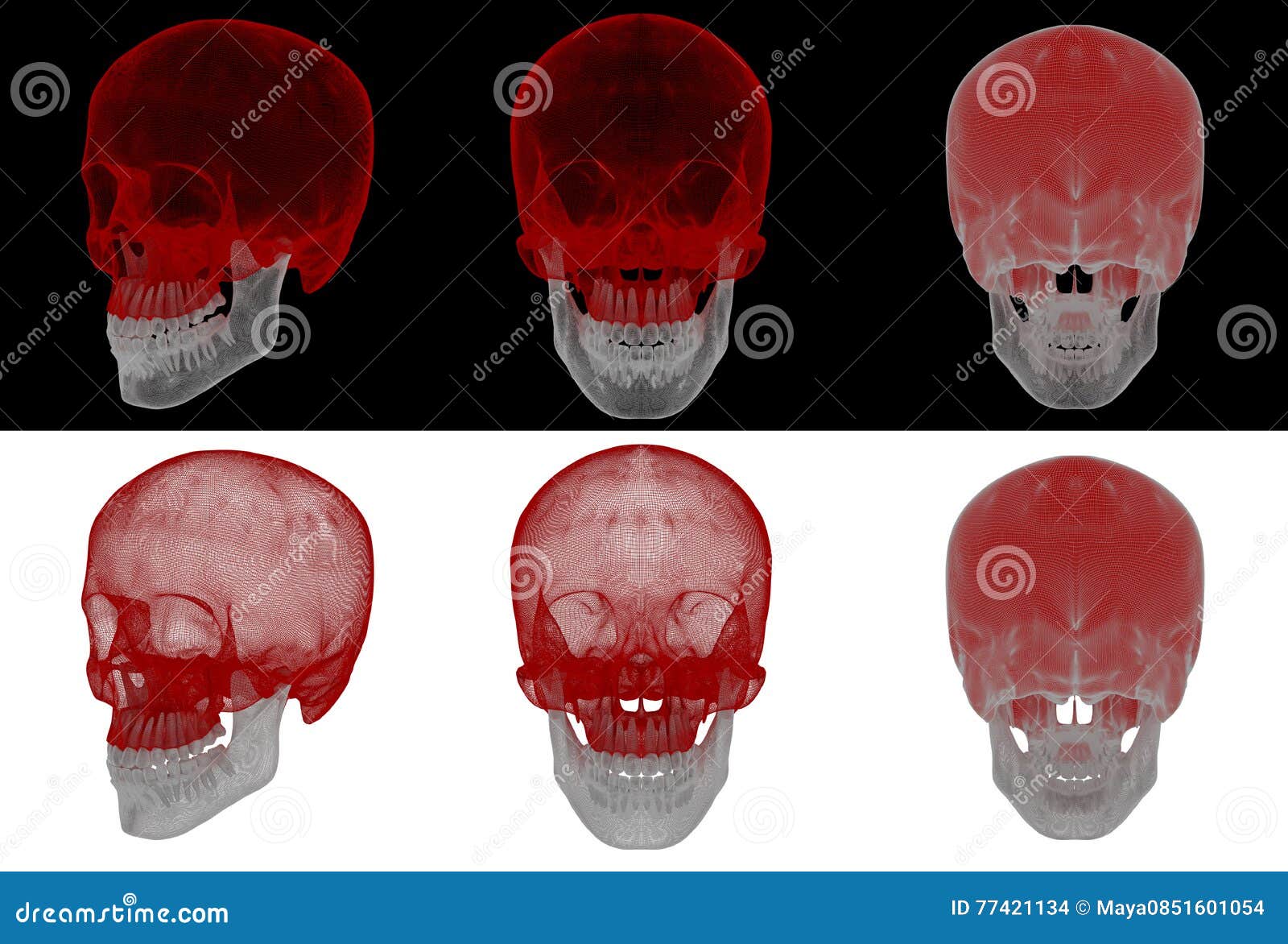 Upper skull stock illustration. Illustration of dark - 77421134
