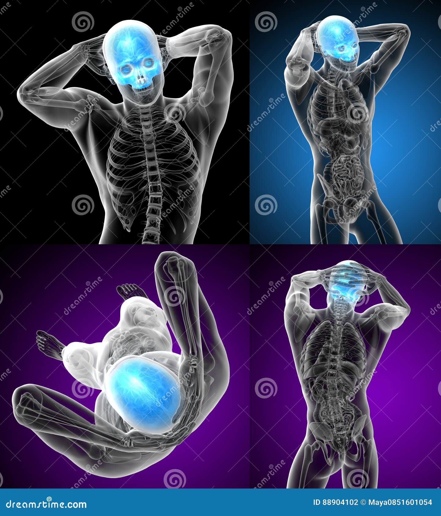 Upper skull stock illustration. Illustration of head - 88904102