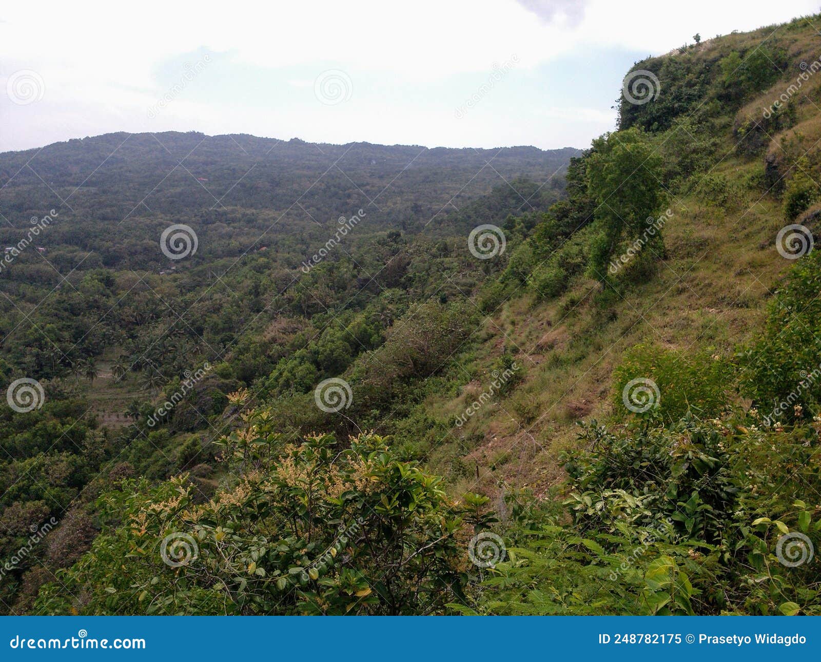 The Upper Slope of Mount Lawu Stock Image - Image of side, ridge: 248782175