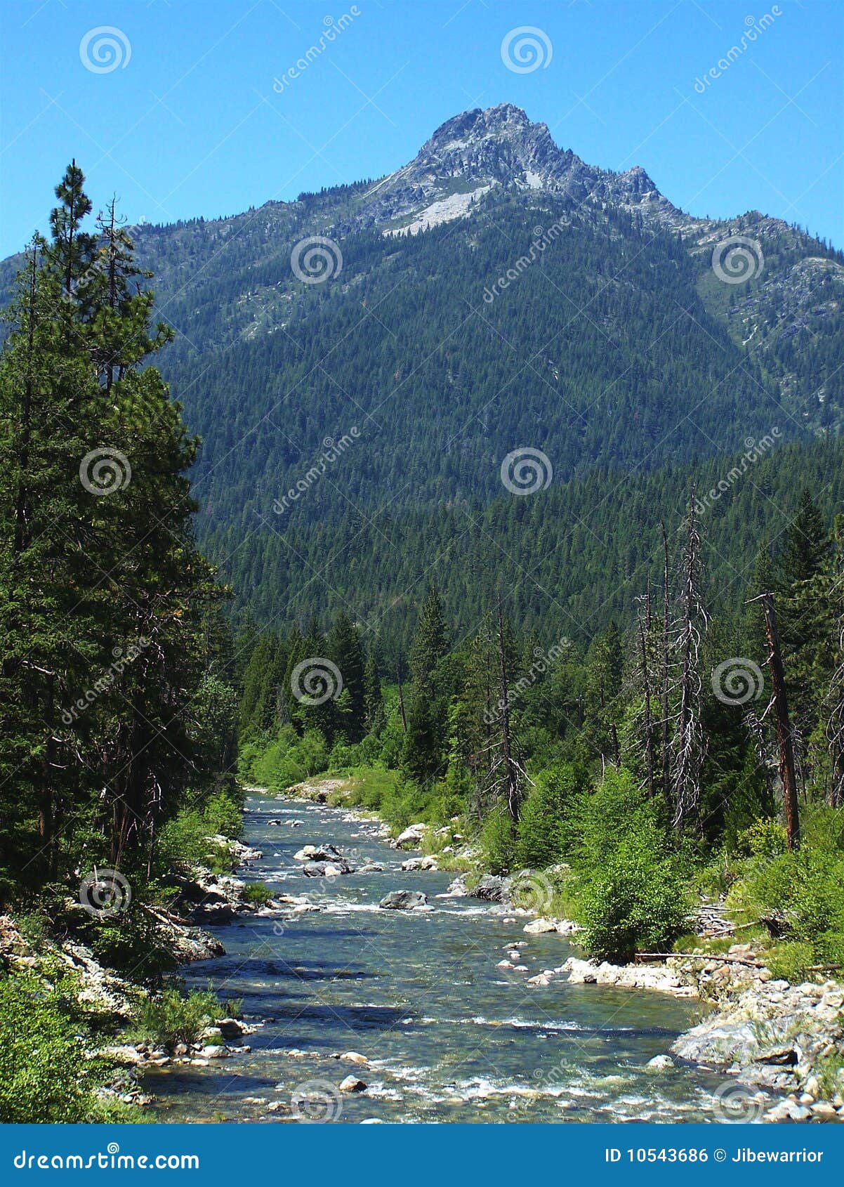 Upper Trinity River stock photo. Image of stream, alps - 10543686