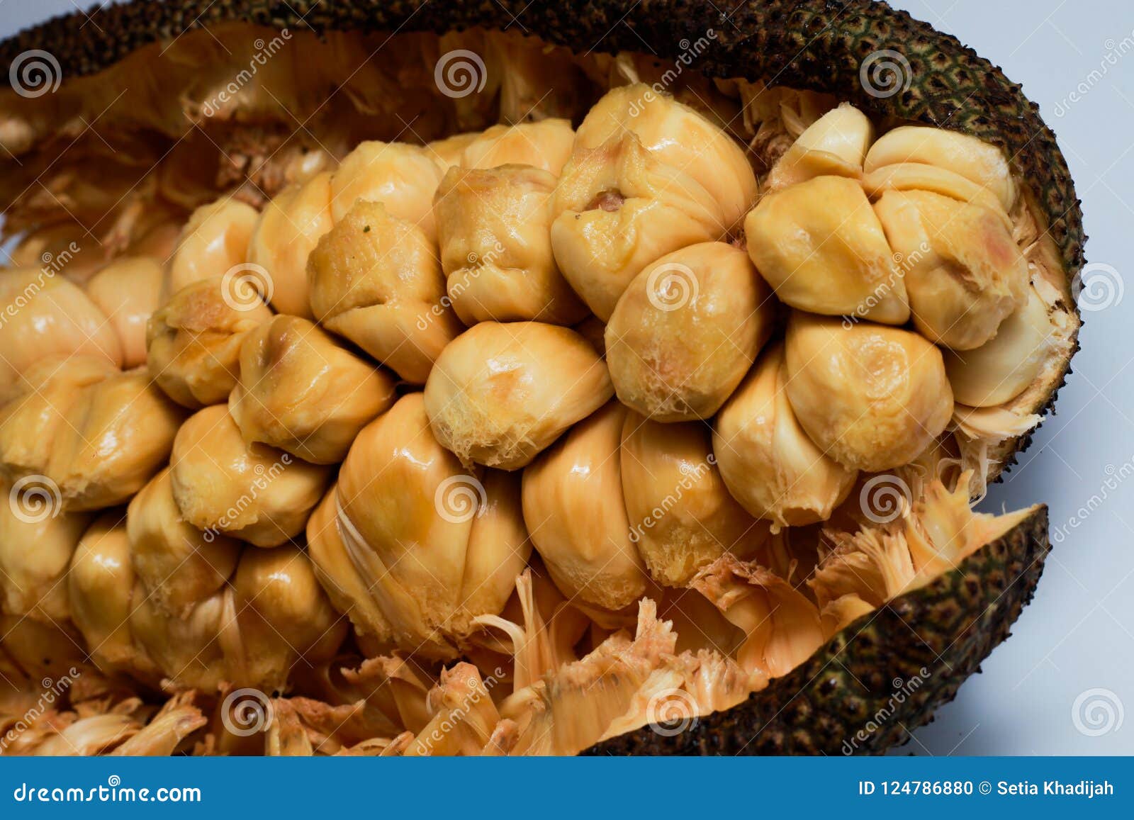 Cempedak Fruit Royalty-Free Stock Photography | CartoonDealer.com ...