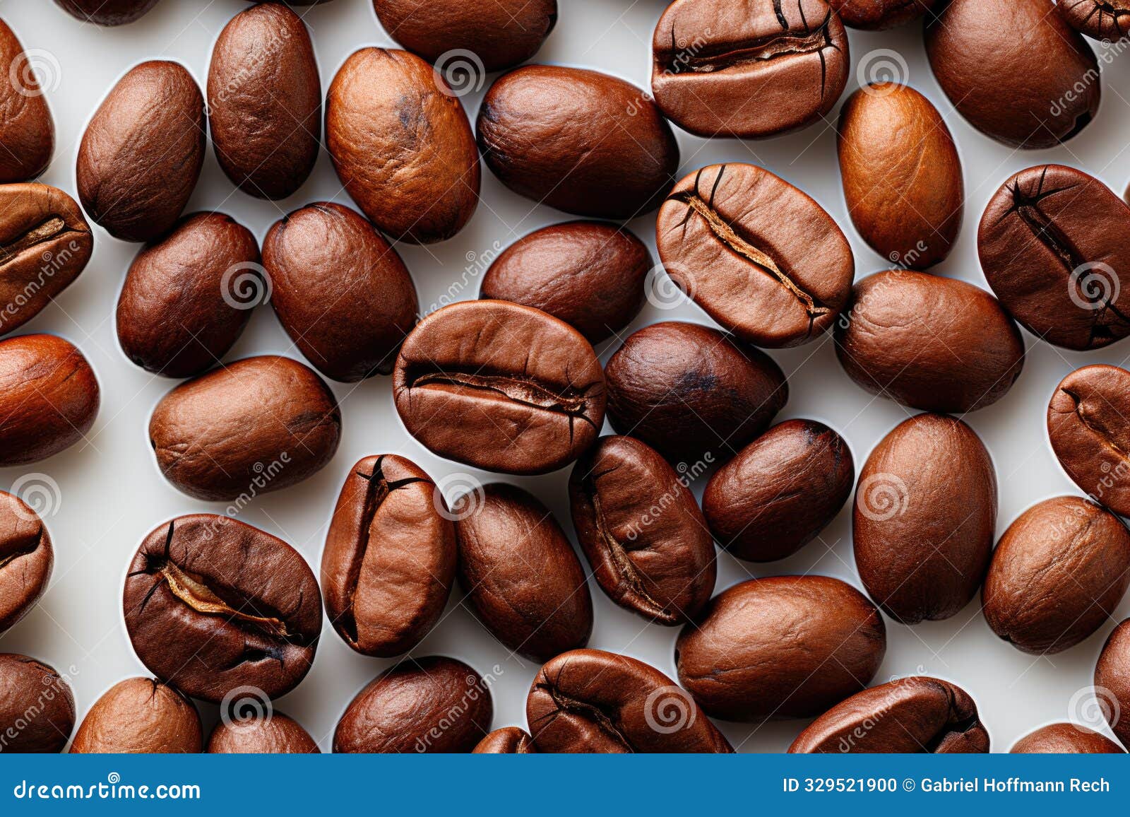 Upper View of Isolated Fresh Coffee Beans on a White Background Wi ...