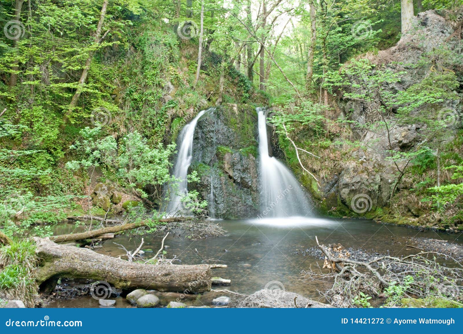 Waterfall In Fairy Glen Falls, Rosemarkie, Fortrose, Highlands, Scoland ...