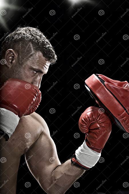 Uppercut stock image. Image of fist, athletes, handsome - 14661597