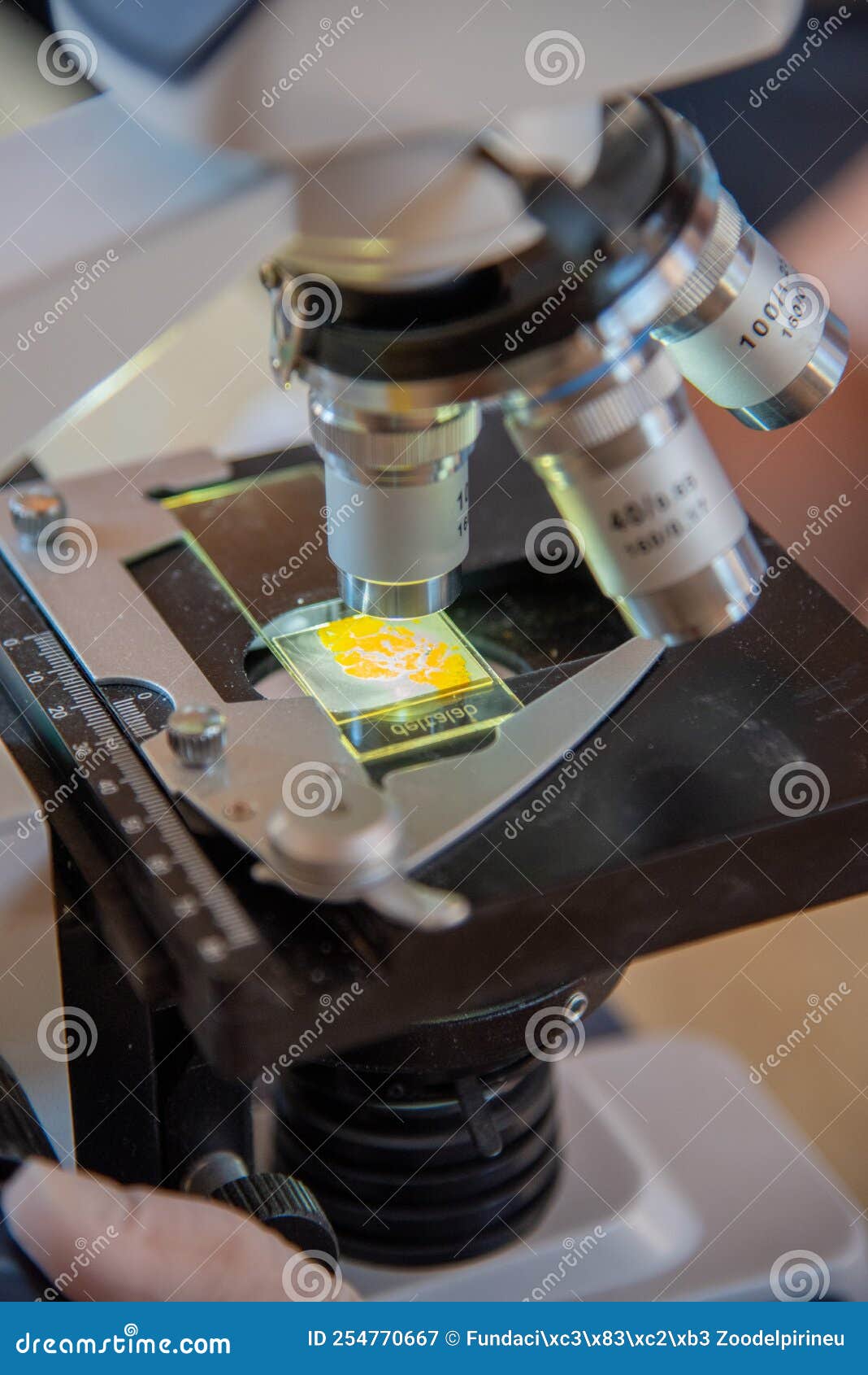 Upright microscope detail stock image. Image of biology - 254770667
