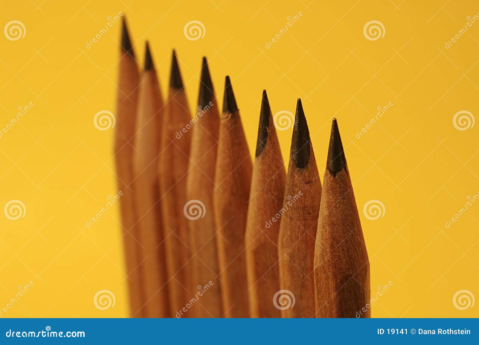 Upright Pencils stock image. Image of business, lead, sharpened - 19141