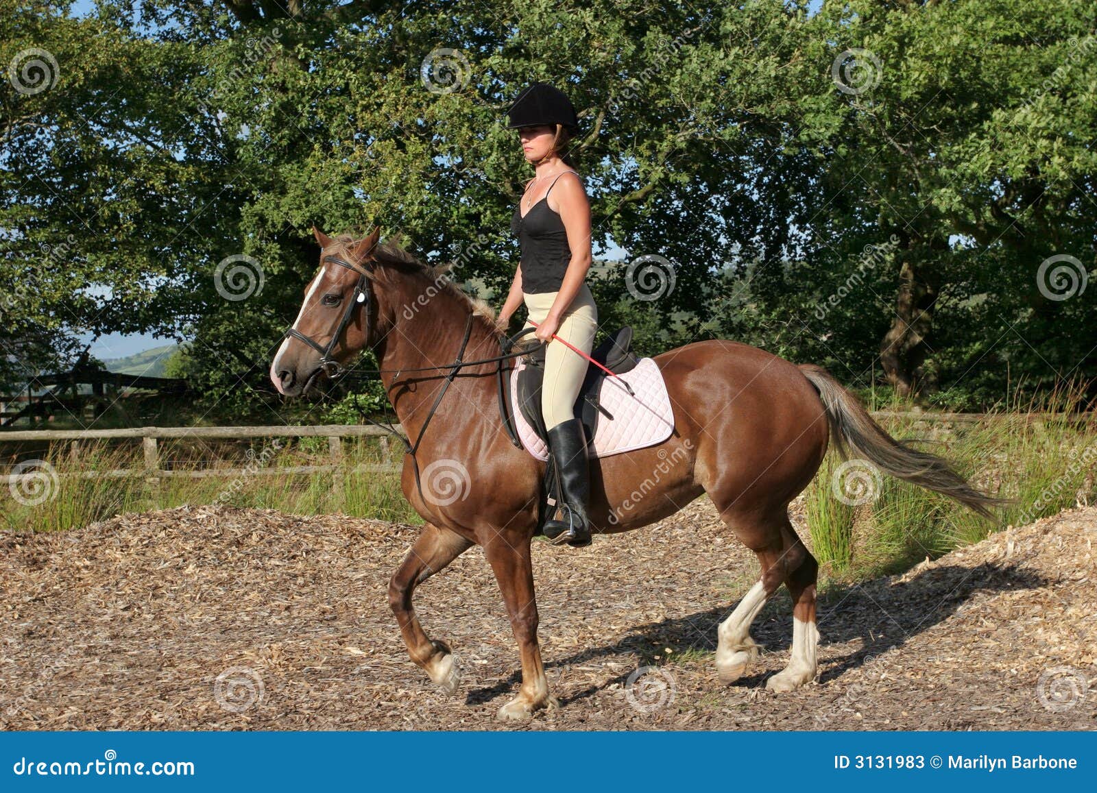 Upright Riding Posture stock image. Image of outfit, female - 3131983