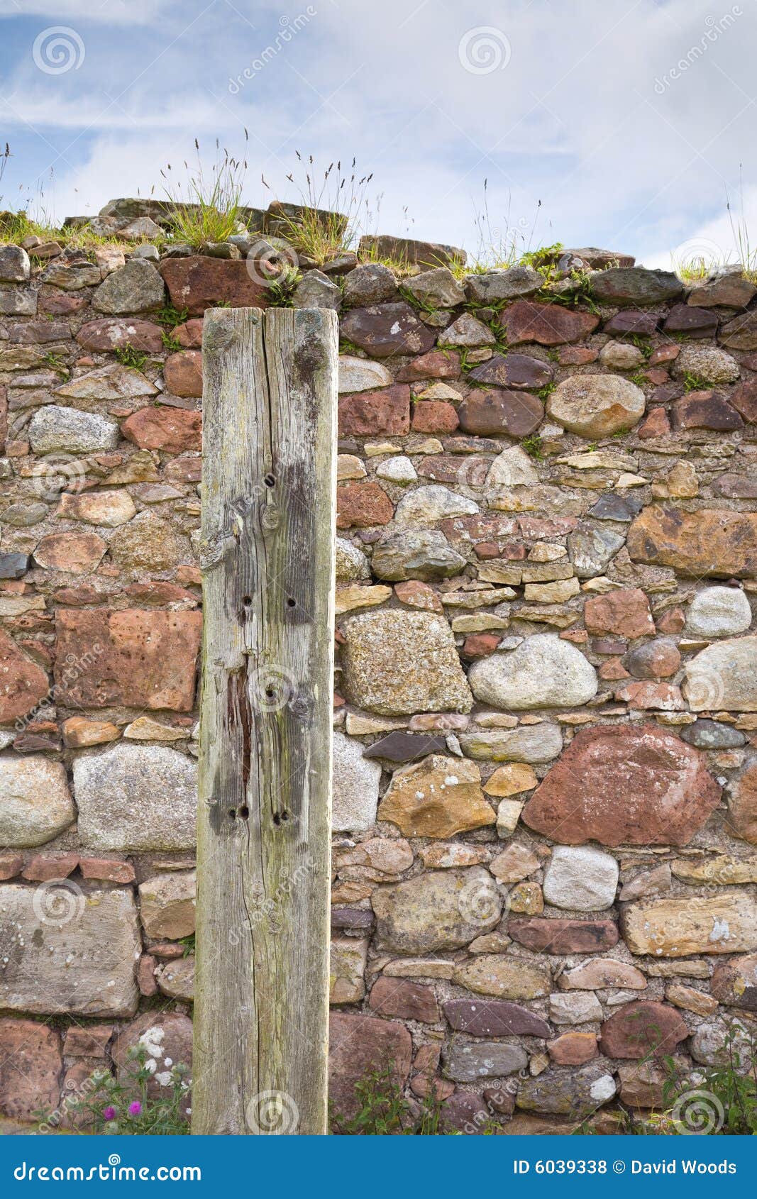 Upright Sleeper Picture. Image: 6039338