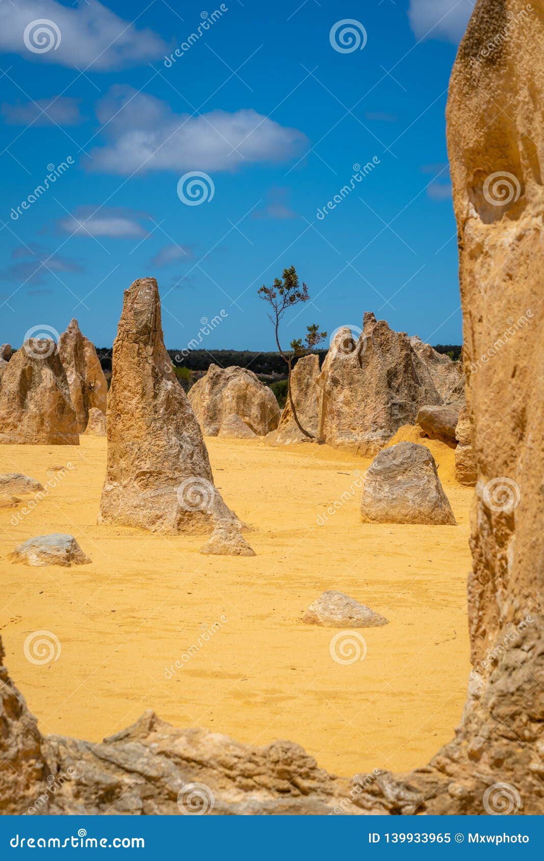 Upright Standing Rock Formations at the Pinnacles Desert in Western ...