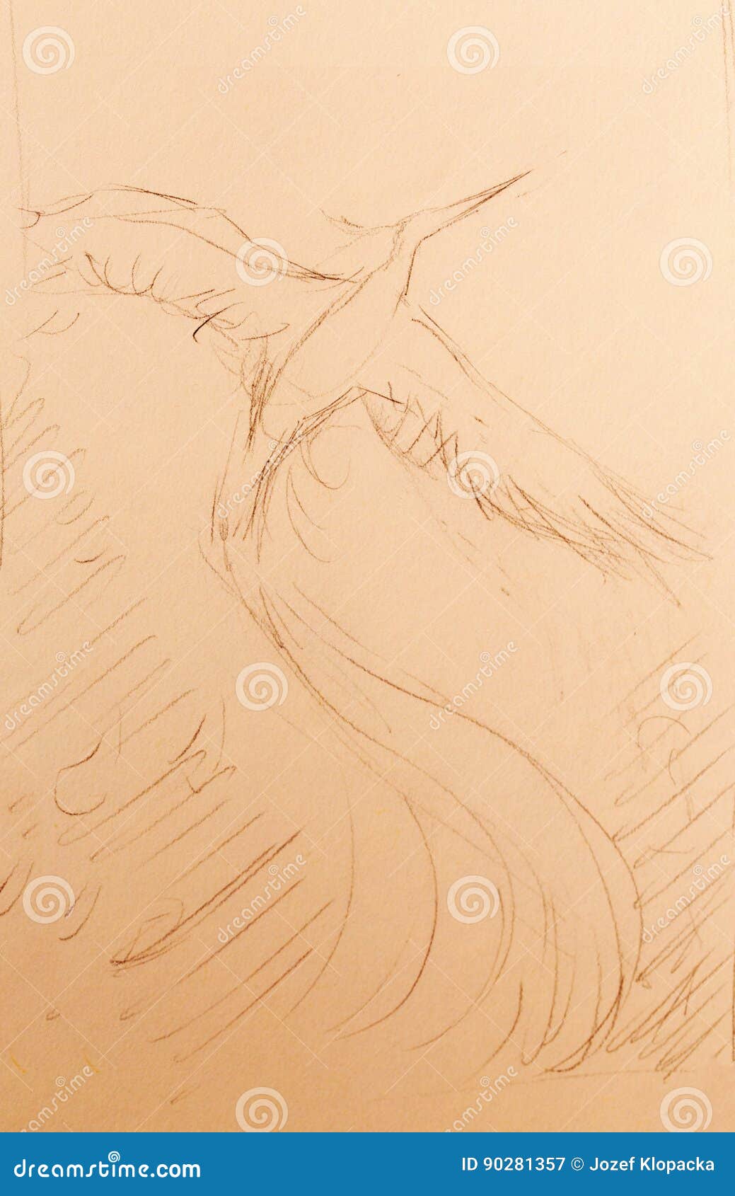 Uprising Phoenix Bird Flying Up, Drawing On Abstract Colorful ...