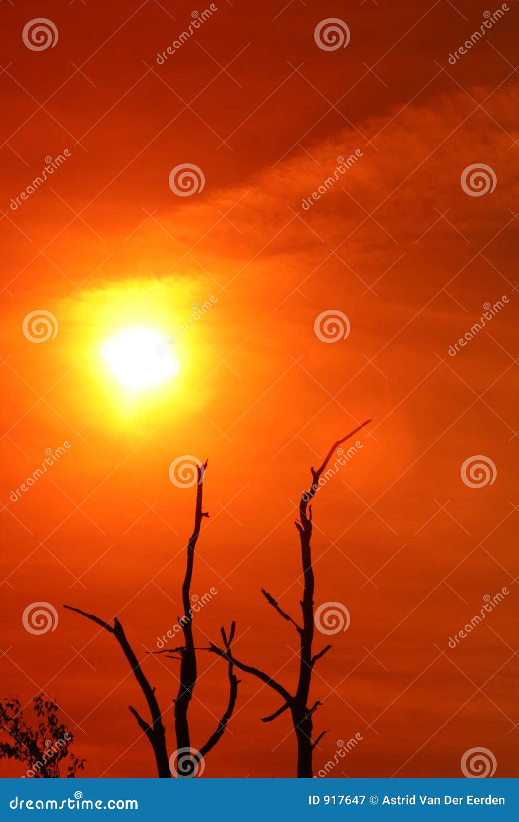 Uprising Sun stock image. Image of uprising, clouds, spring - 917647