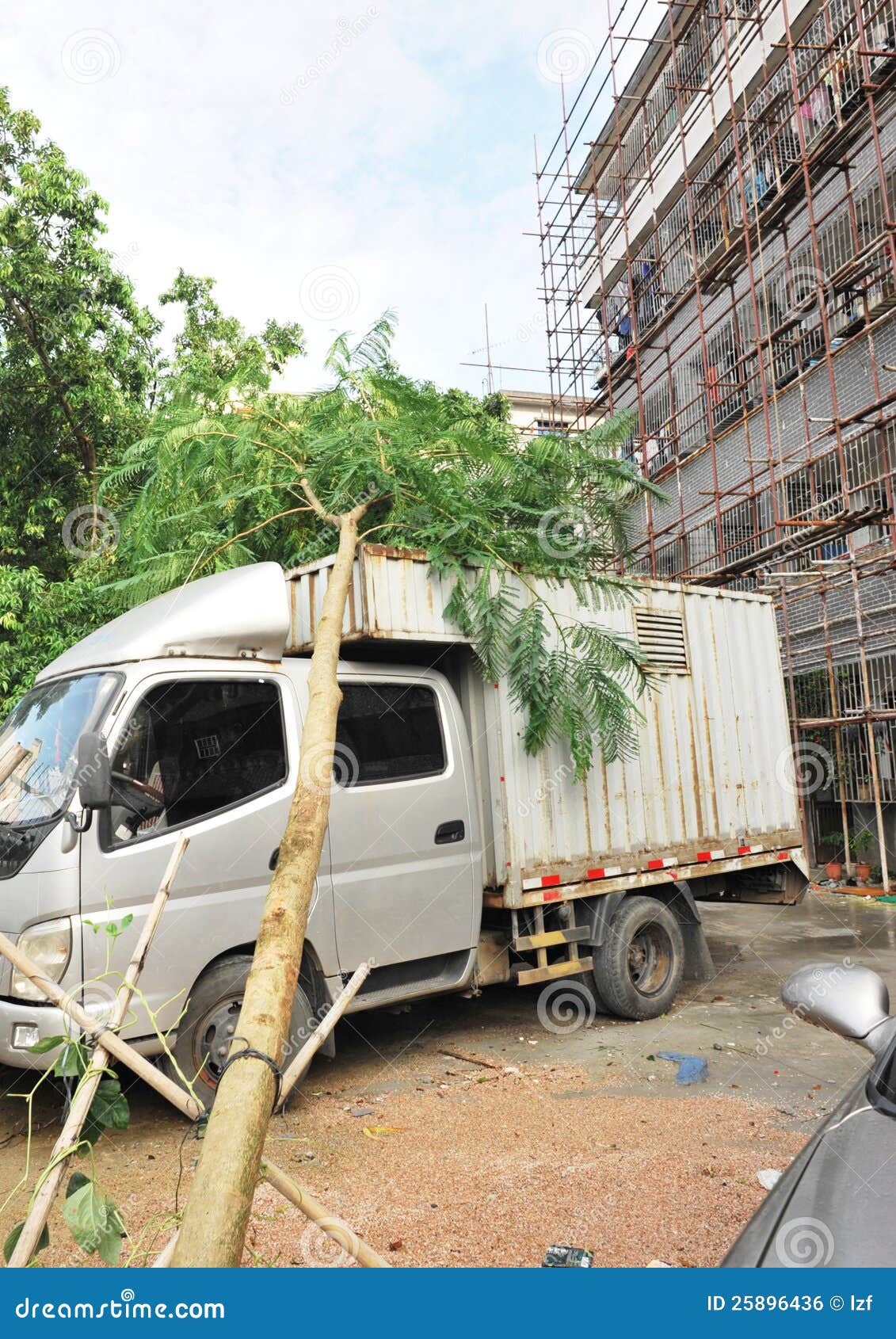 Uprooted tree on car stock photo. Image of auto, branch - 25896436