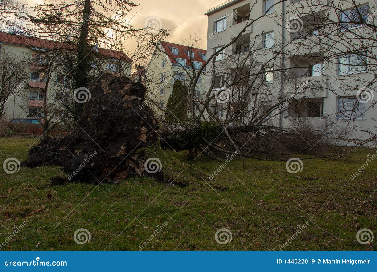 Uprooted Tree Fell on a House after a Serious Storm Named Eberhard ...