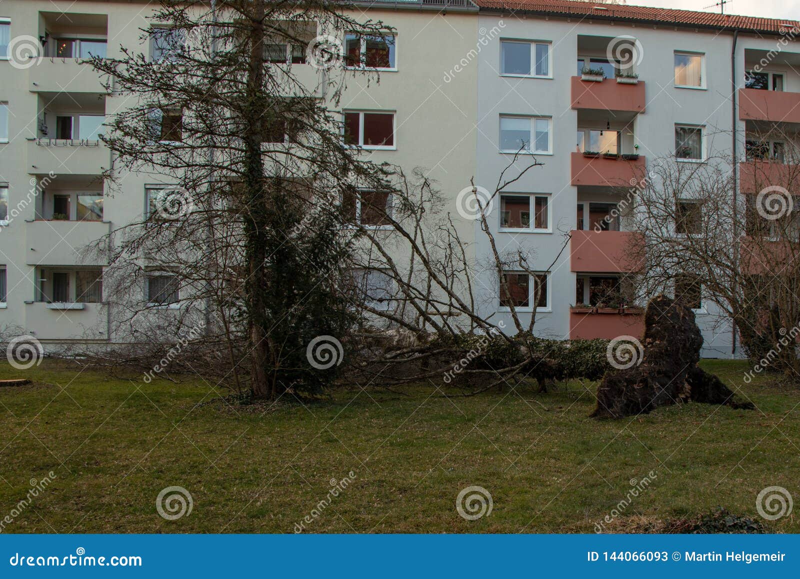 Uprooted Tree Fell on a House after a Serious Storm Named Eberhard ...