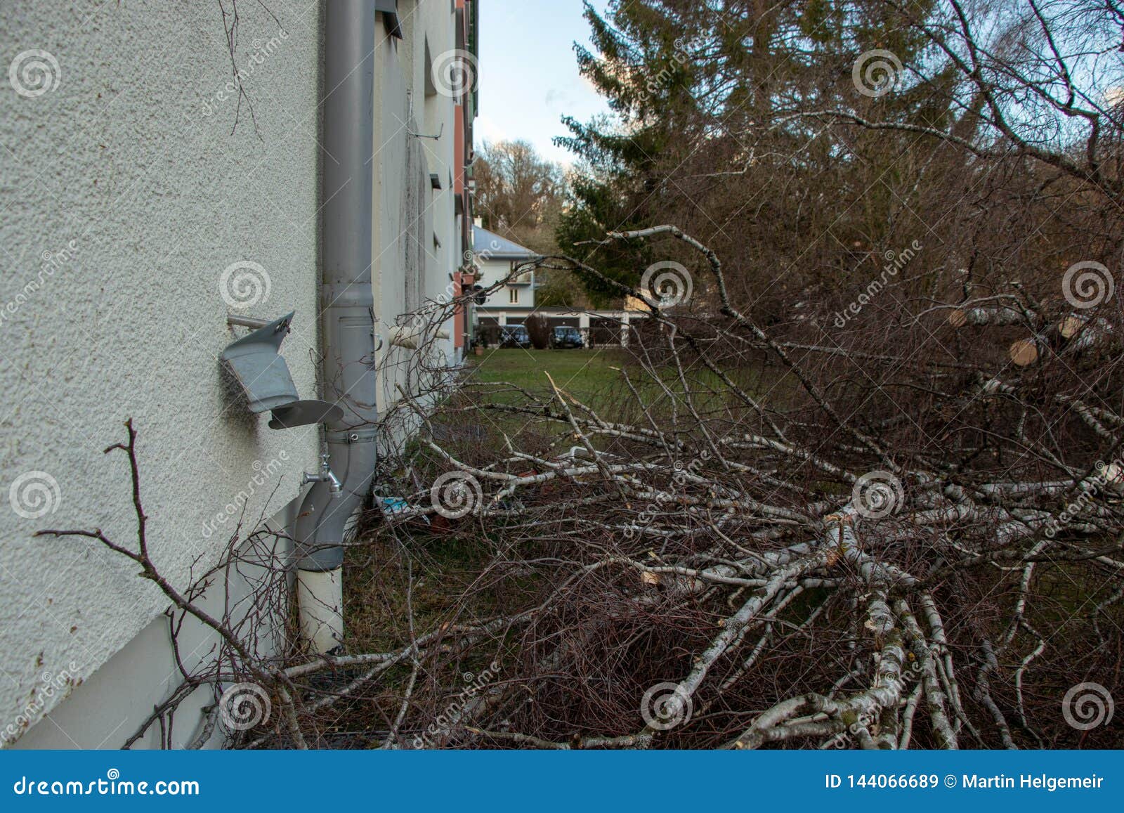 Uprooted Tree Fell on a House after a Serious Storm Named Eberhard ...
