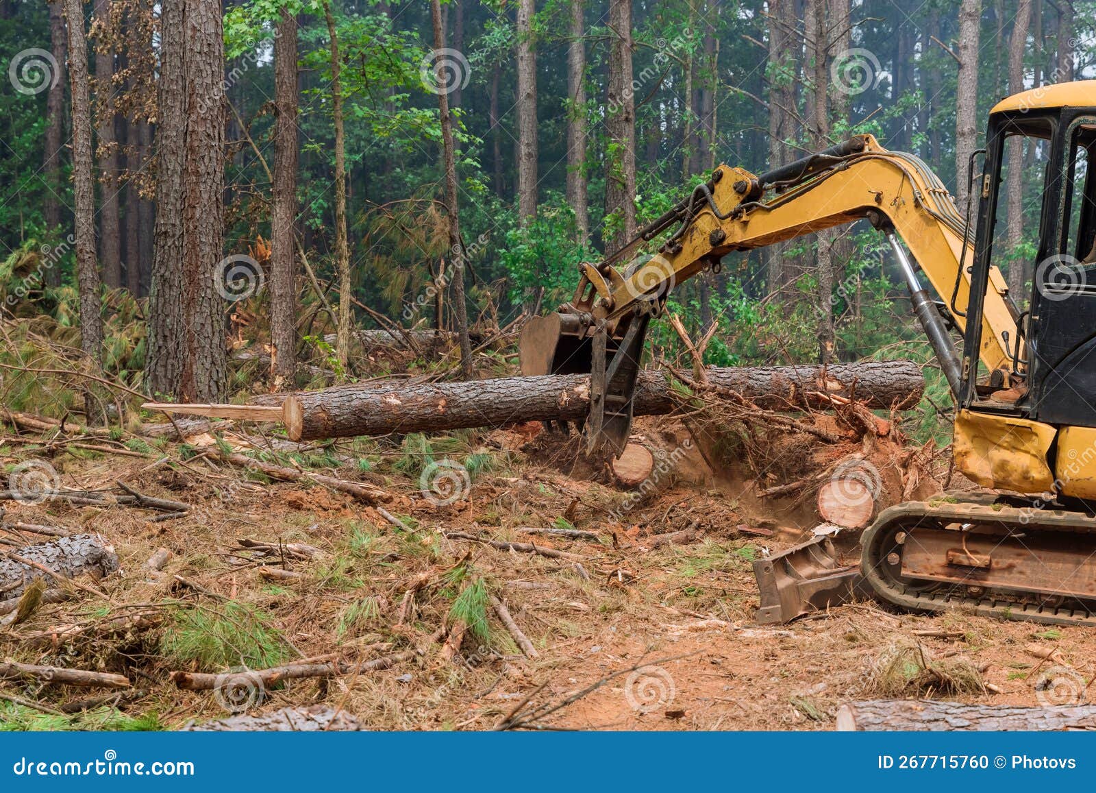 It is an Uprooting of Trees Using a Tractor Manipulator, Then Lifting ...