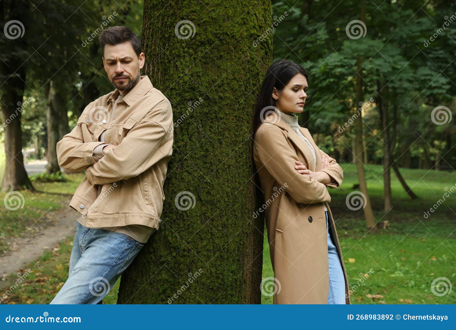 Upset Arguing Couple Near Tree in Park. Relationship Problems Stock ...