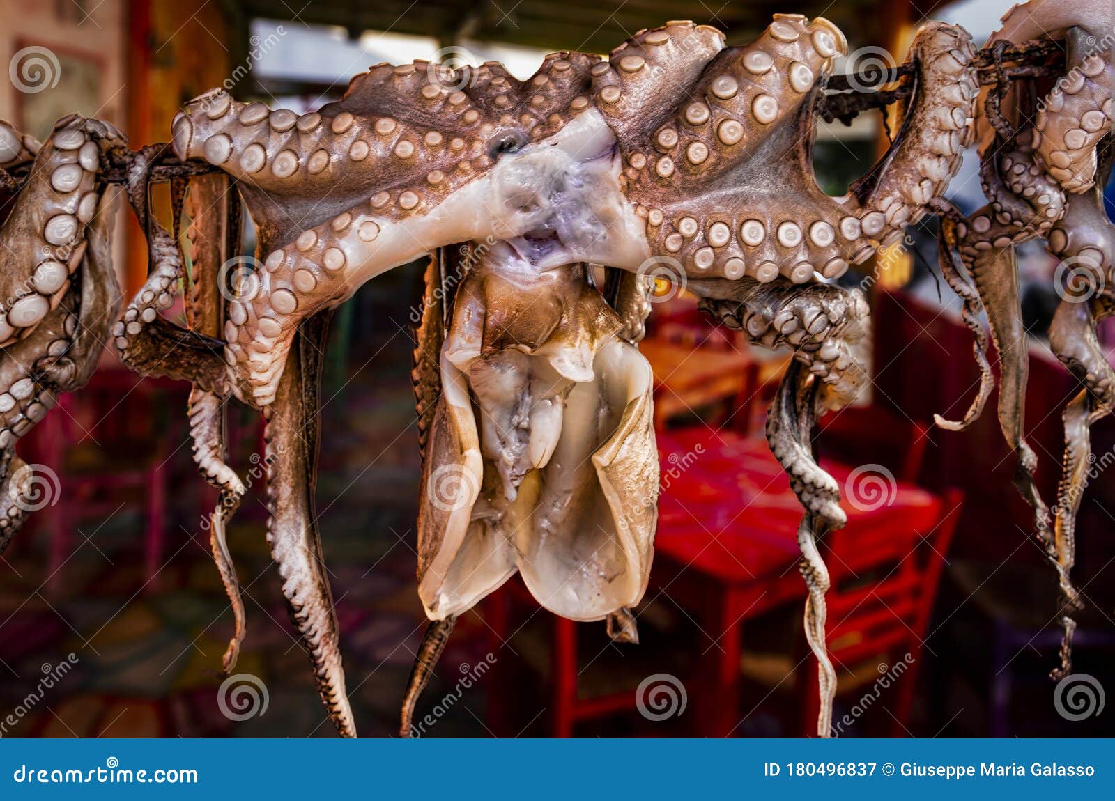 Upside Down Octopus Ready To Be Grilled and Served Stock Image - Image ...