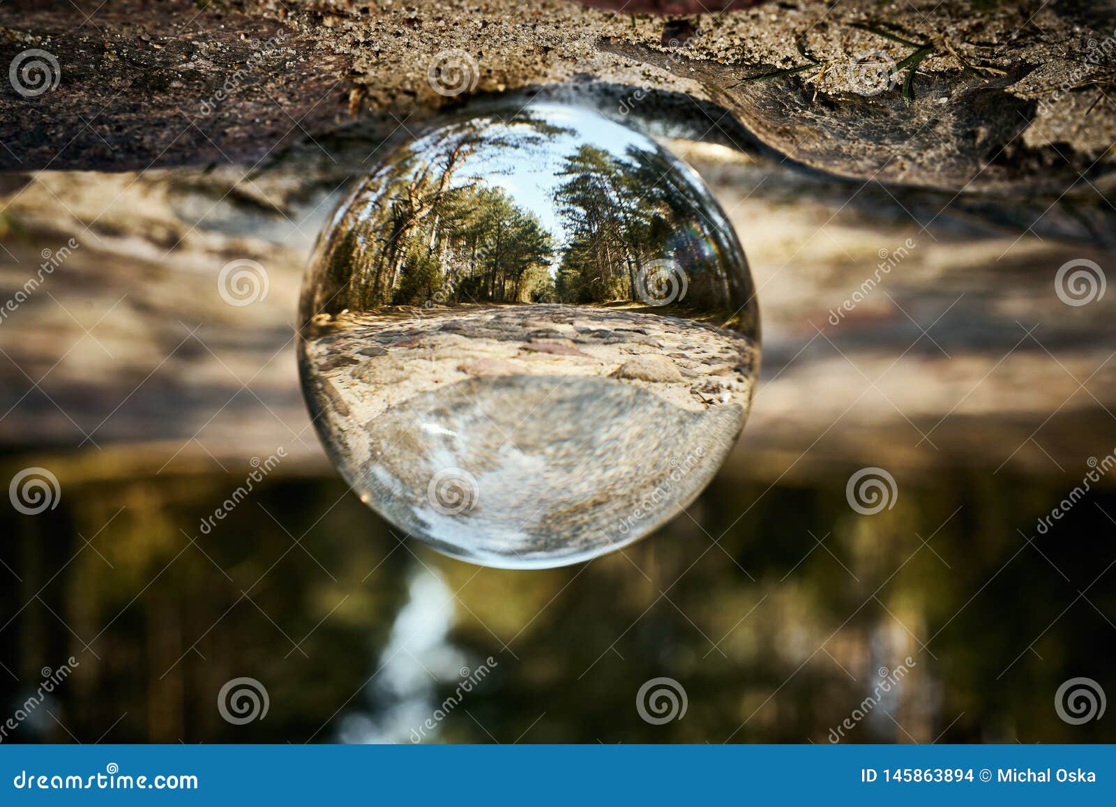 Upside Down Landscape of Beautiful Sunny Forest Stock Photo - Image of ...