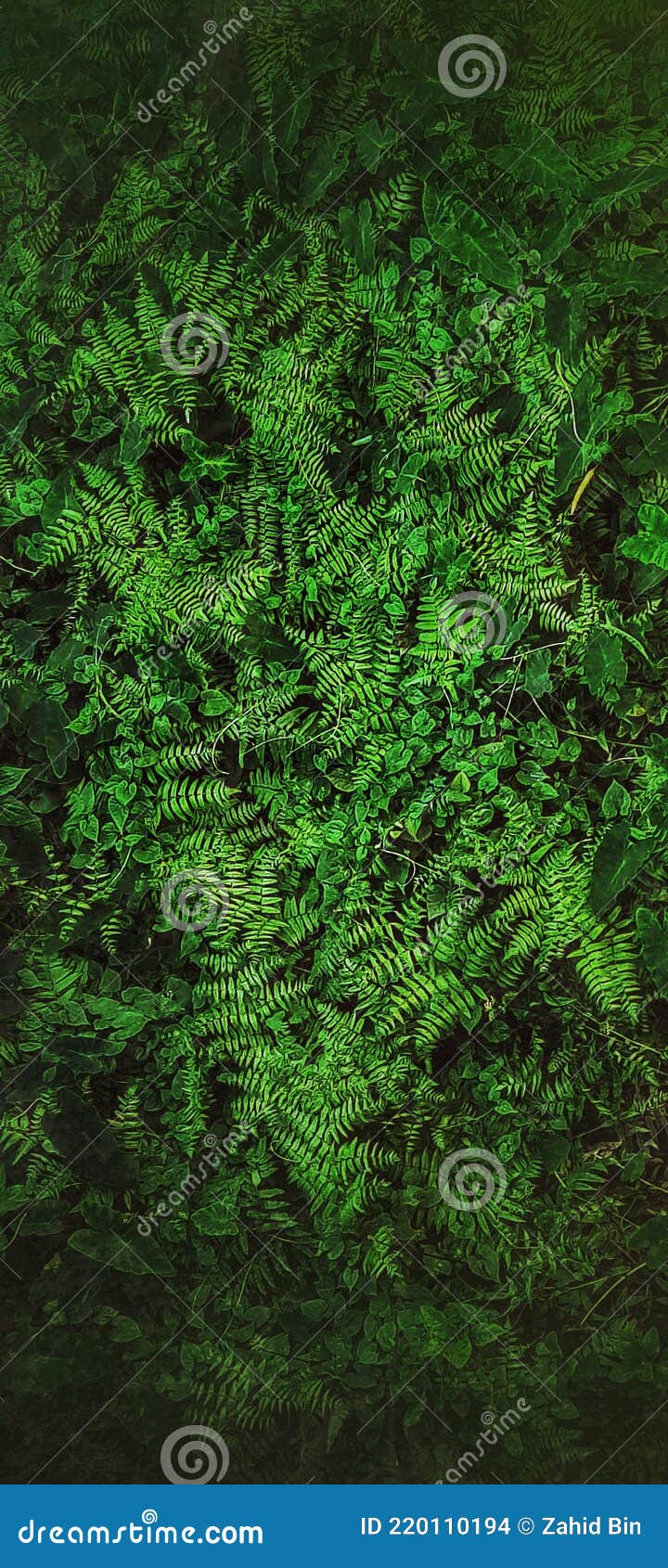 Upside Down Nature with Many Kinds of Plant Stock Photo - Image of ...