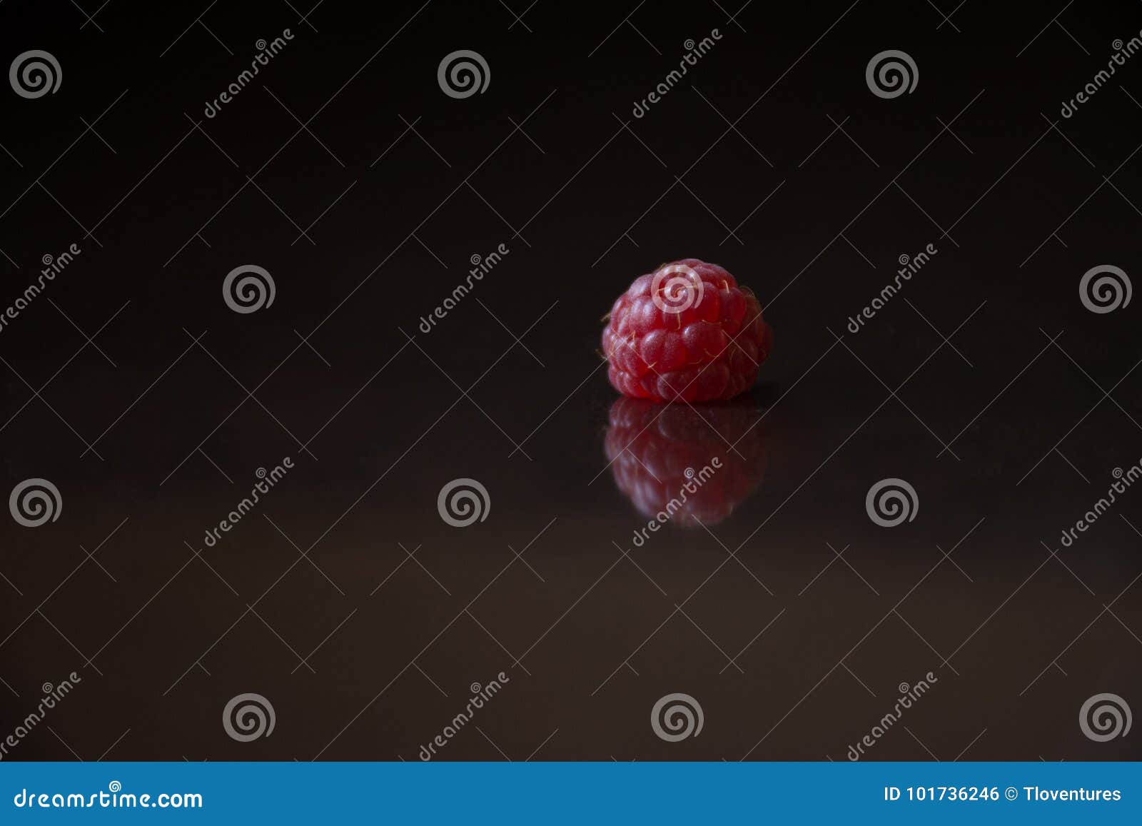 Upside Down Raspberry stock photo. Image of raspberry - 101736246