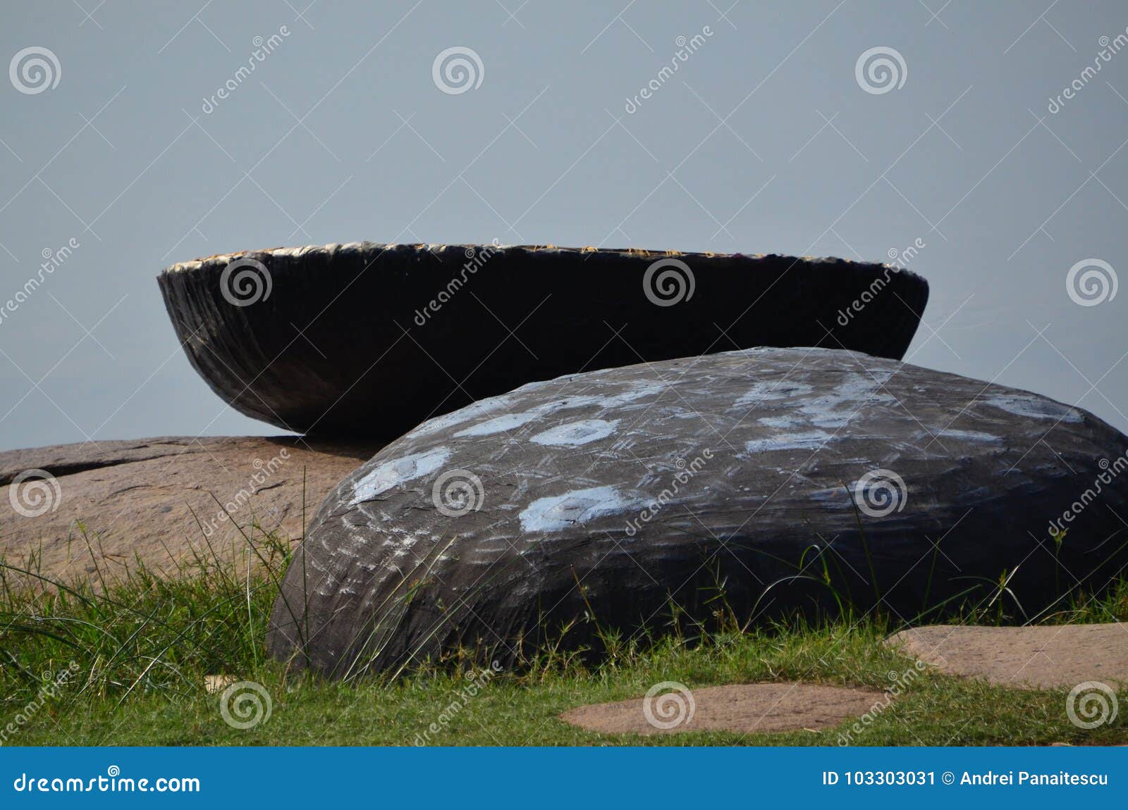 Upside down stock image. Image of rounded, tropical - 103303031