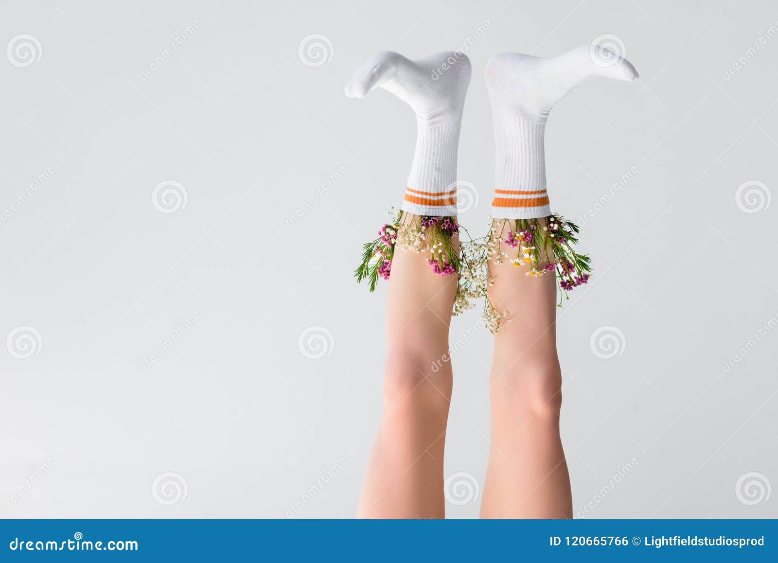 Upside Down View of Female Legs with Flowers in Socks Stock Photo ...