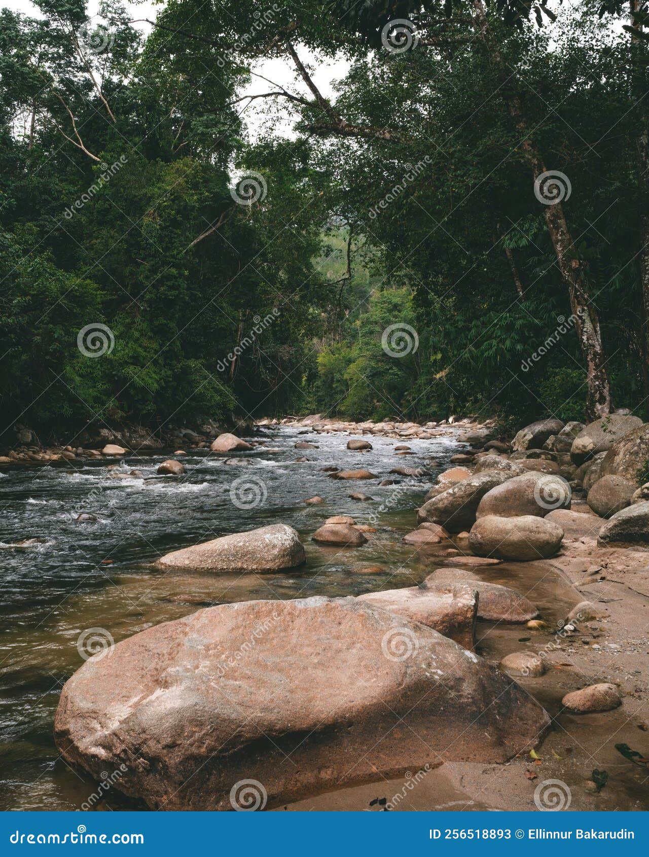 Upstream River at Sungai Kampar, Gopeng, Perak Stock Image - Image of ...
