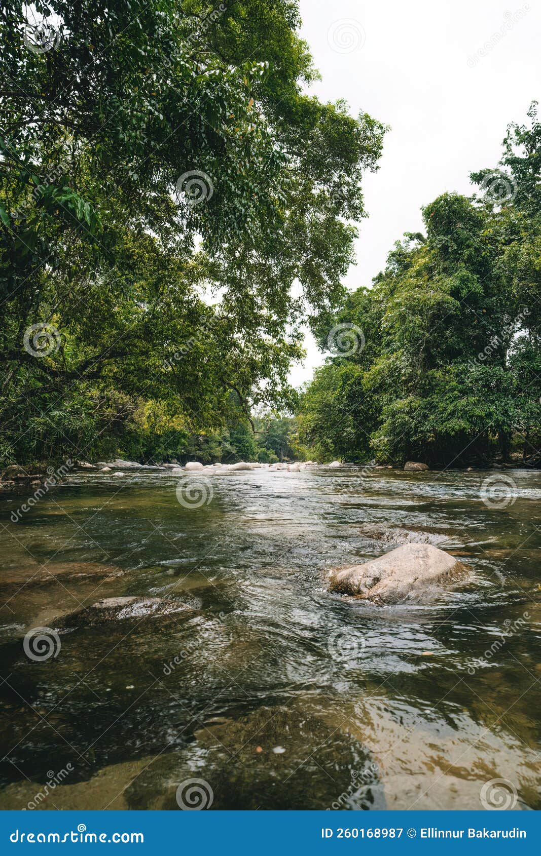 Upstream River at Sungai Kampar, Gopeng, Perak Stock Image - Image of ...