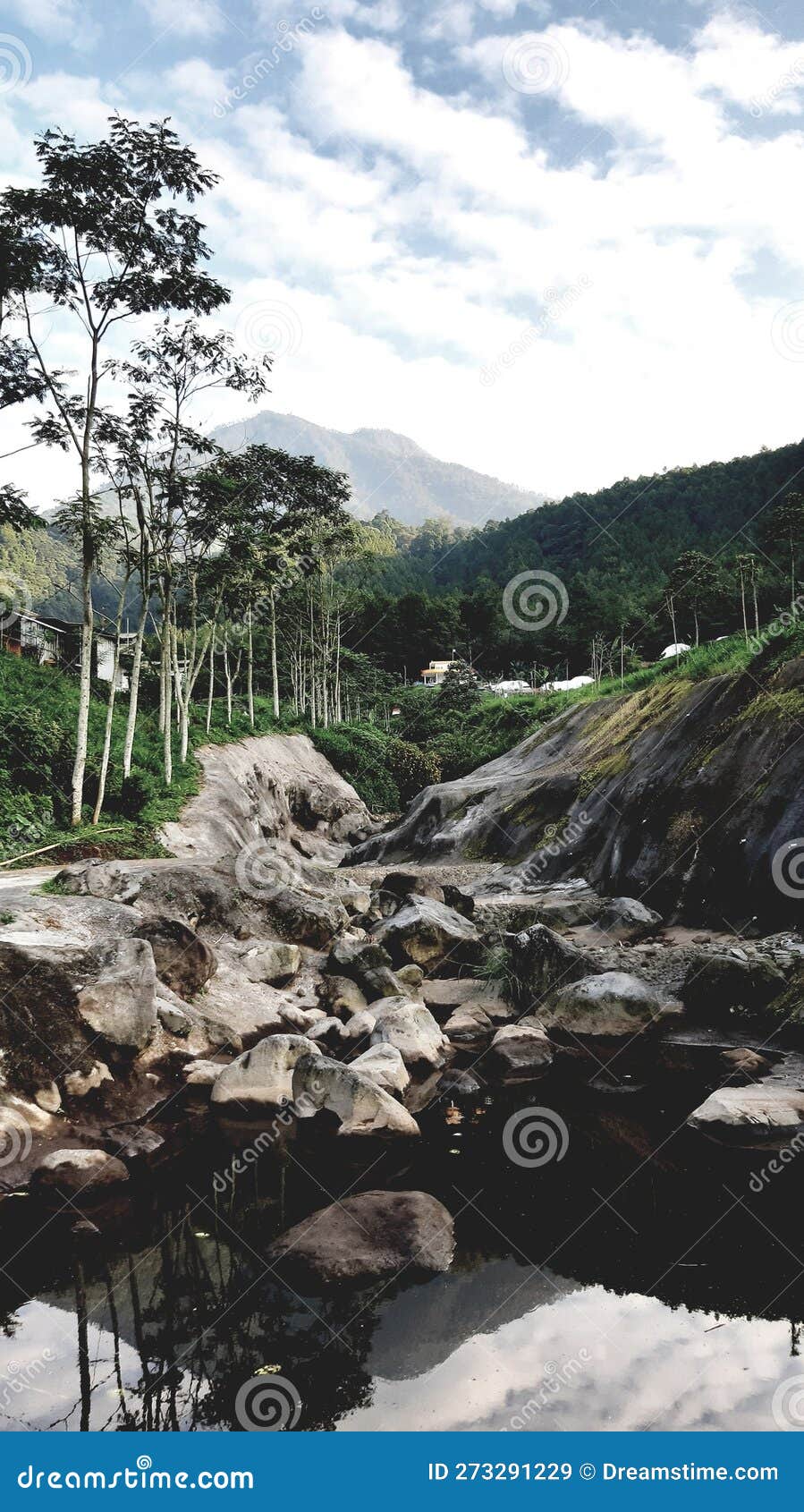 Upstream view of the river stock image. Image of river - 273291229