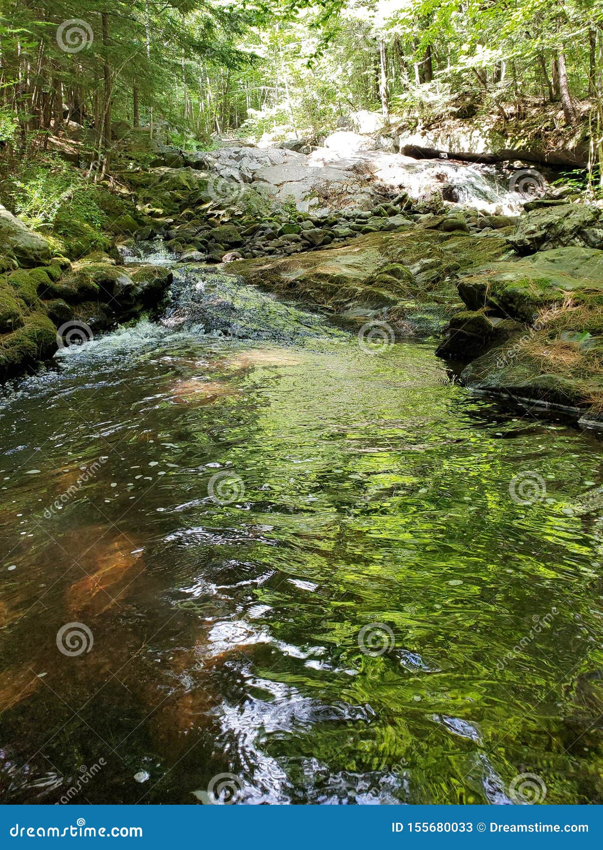 An upstream view stock image. Image of water, upstream - 155680033