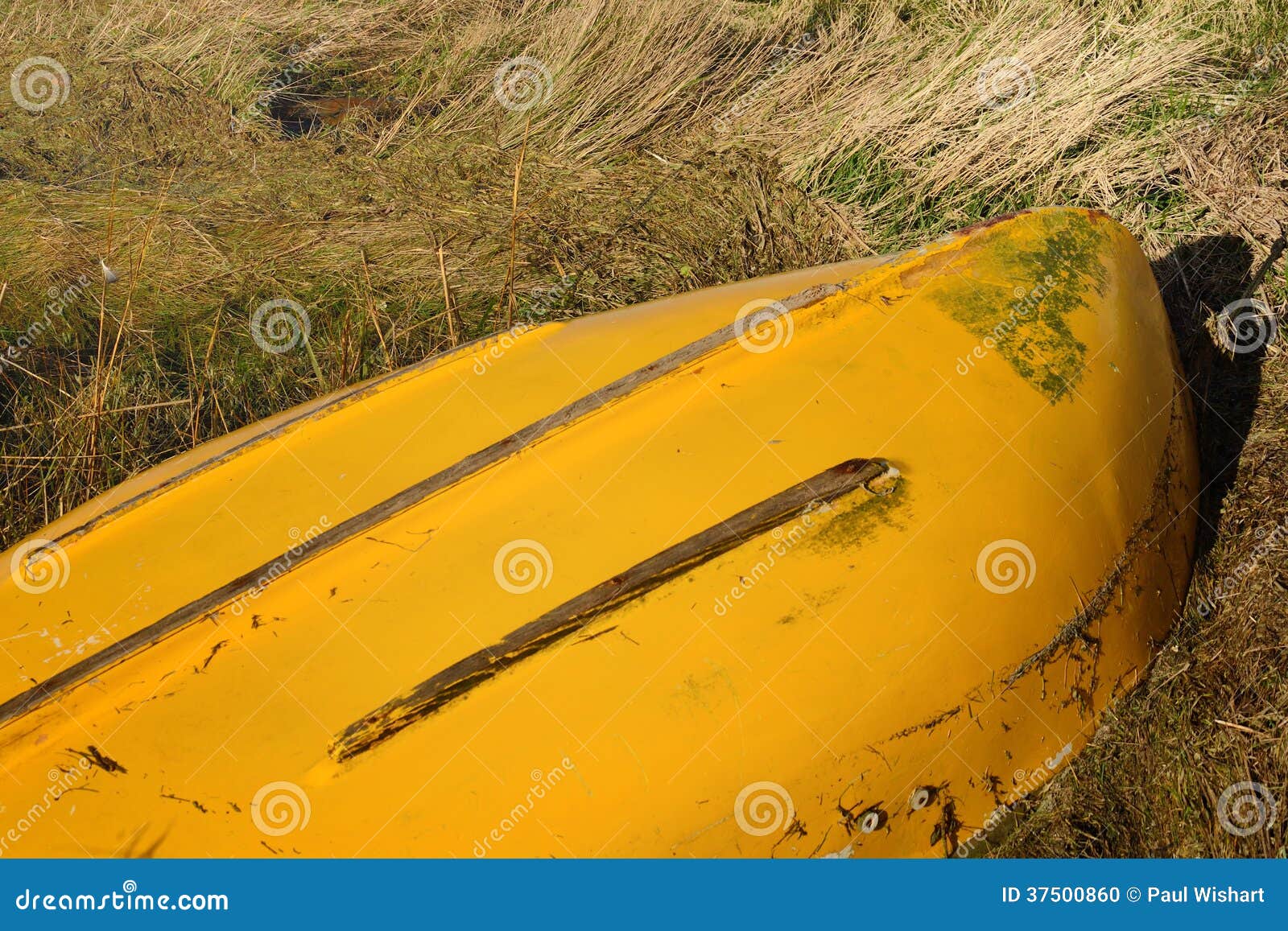 Upturned yellow row boat stock photo. Image of outdoors - 37500860