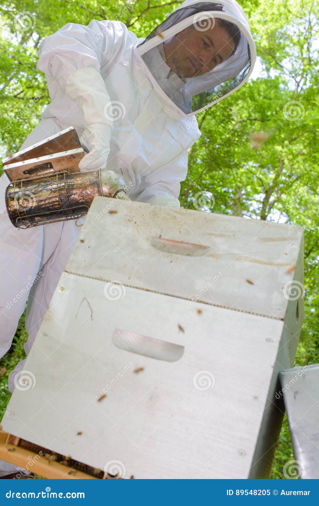 A Beekeeper Is Using A Blower, Blowing Air Inside The Hive Full Of ...