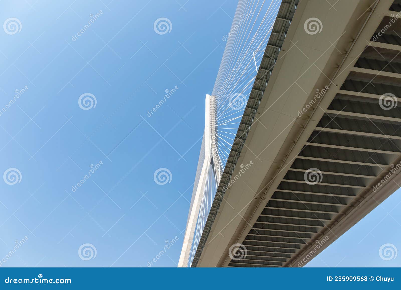 Upward View of the Cable-stayed Bridge Stock Photo - Image of transport ...